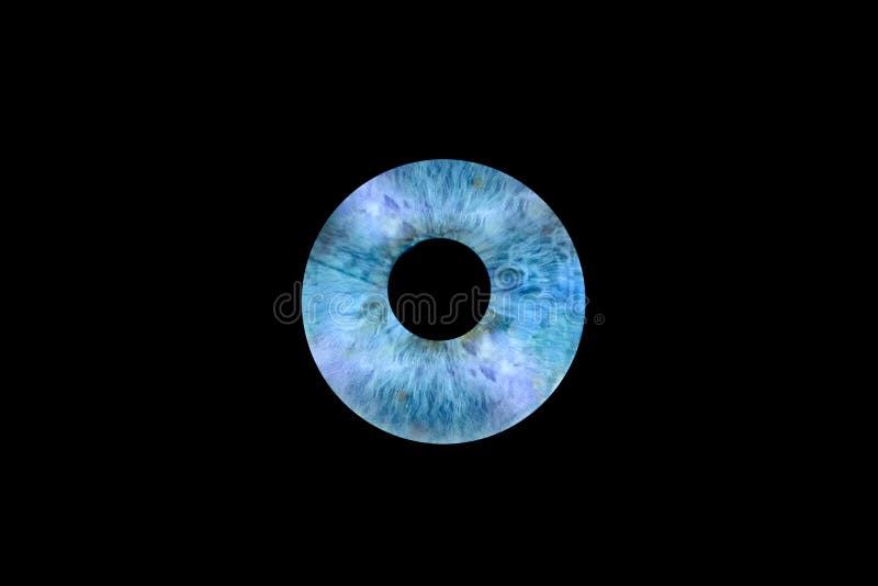 Vivid Blue Iris Floating stock photo. Image of floating - 358656558