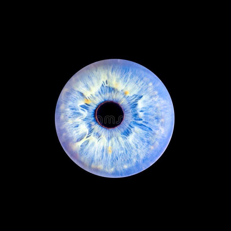 Vivid Blue Iris Sphere stock image. Image of iris, pupil - 365472209