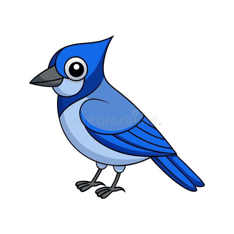 Vivid Blue Jay Bird Design stock image. Illustration of color - 368648867