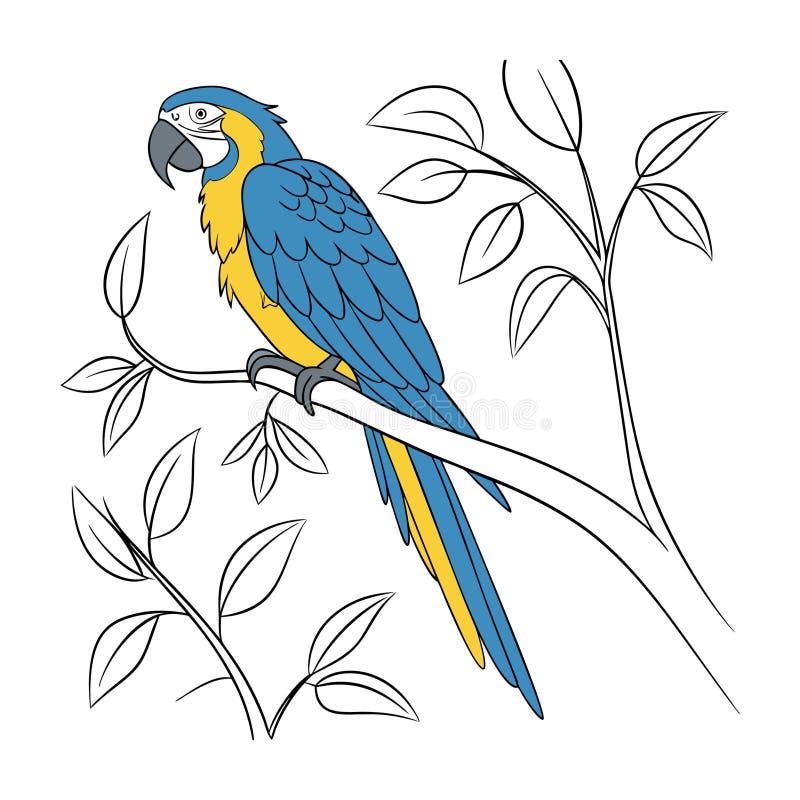 Vivid Blue-Throated Macaw Bird Design Stock Illustration - Illustration ...