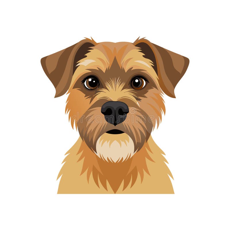 Vivid Border Terrier Illustration for Projects Stock Illustration ...