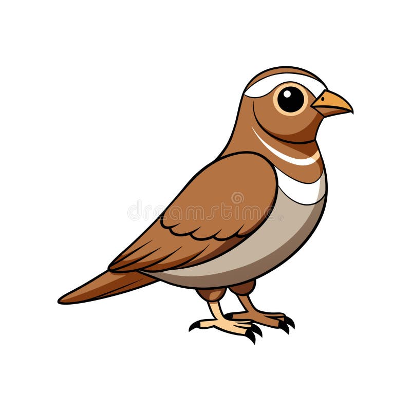 Vivid Buff-Collared Nightjar Bird Artwork Stock Illustration ...