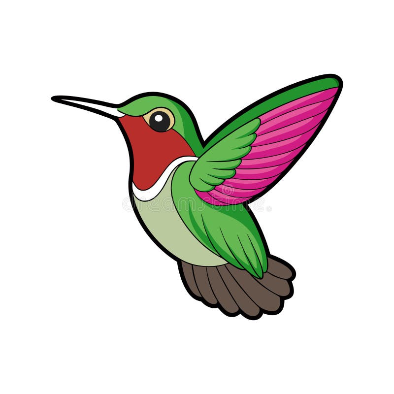 Vivid Calliope Hummingbird Bird Design Stock Photo - Illustration of ...