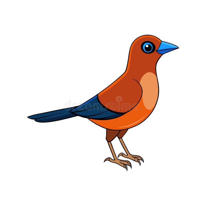 Vivid Chinese Thrush Bird Artwork Stock Illustration - Illustration of ...