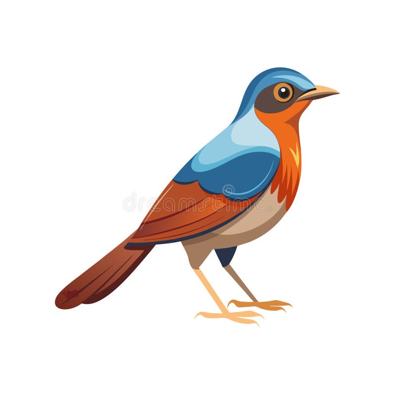 Vivid Chinese Thrush Bird Design Stock Illustration - Illustration of ...