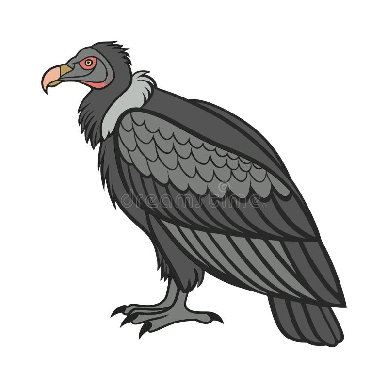 Vivid Cinerous Vulture Bird Design Stock Illustration - Illustration of ...