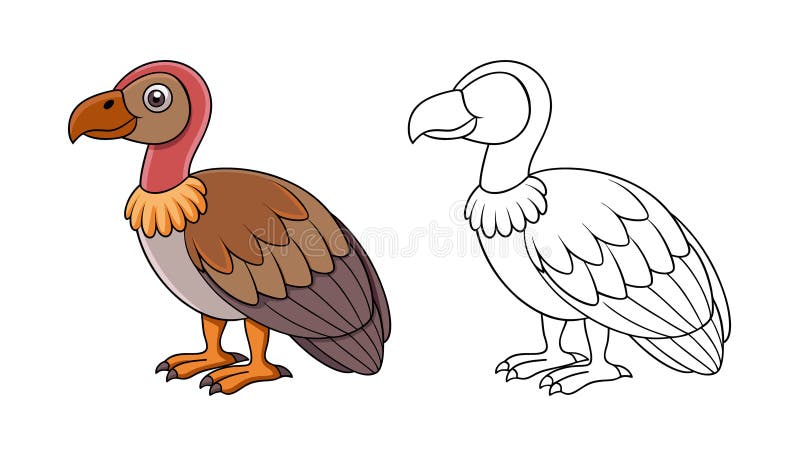 Vivid Cinerous Vulture Bird Design Stock Illustration - Illustration of ...