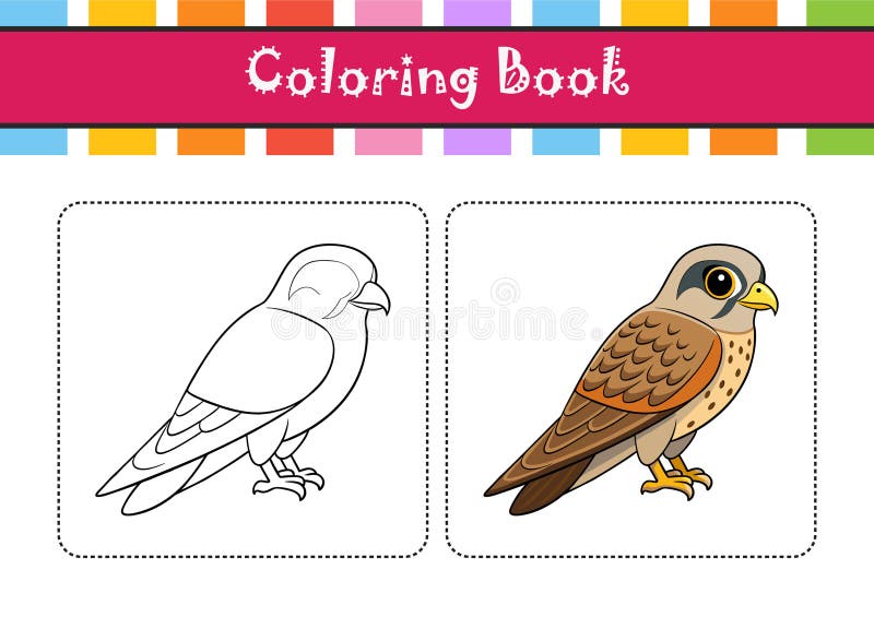 Vivid Common Kestrel Bird Design Stock Vector - Illustration of species ...