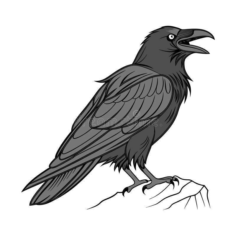 Vivid Common Raven Bird Design Stock Illustration - Illustration of ...