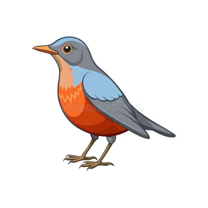 Vivid Common Rock Thrush Bird Design Stock Illustration - Illustration ...