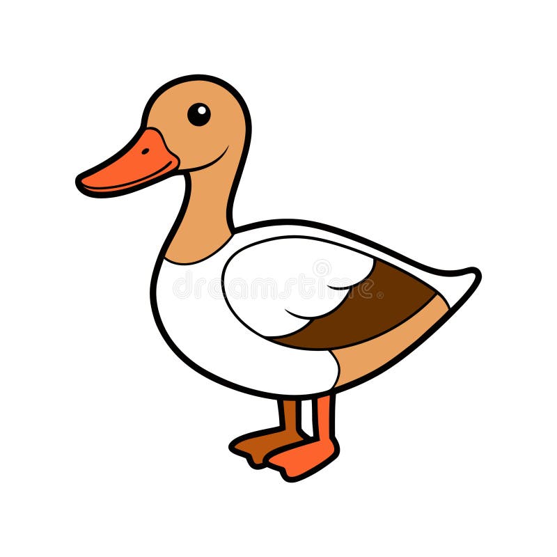 Vivid Common Shelduck Bird Design Stock Illustrations – 5 Vivid Common ...