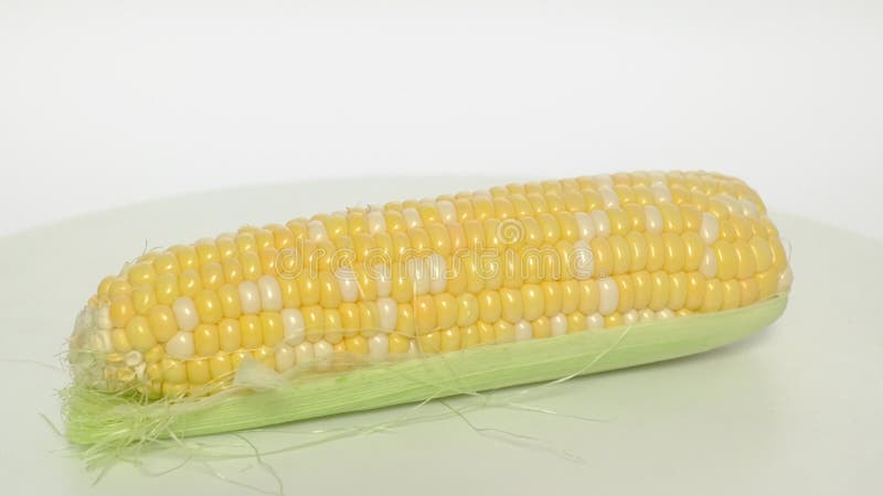 A Vivid Depiction of a Justpicked Corn Cob, Showcasing Its Freshness ...