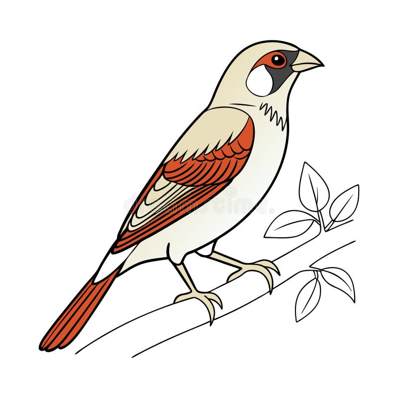Vivid Desert Finch Bird Design Stock Illustration - Illustration of ...
