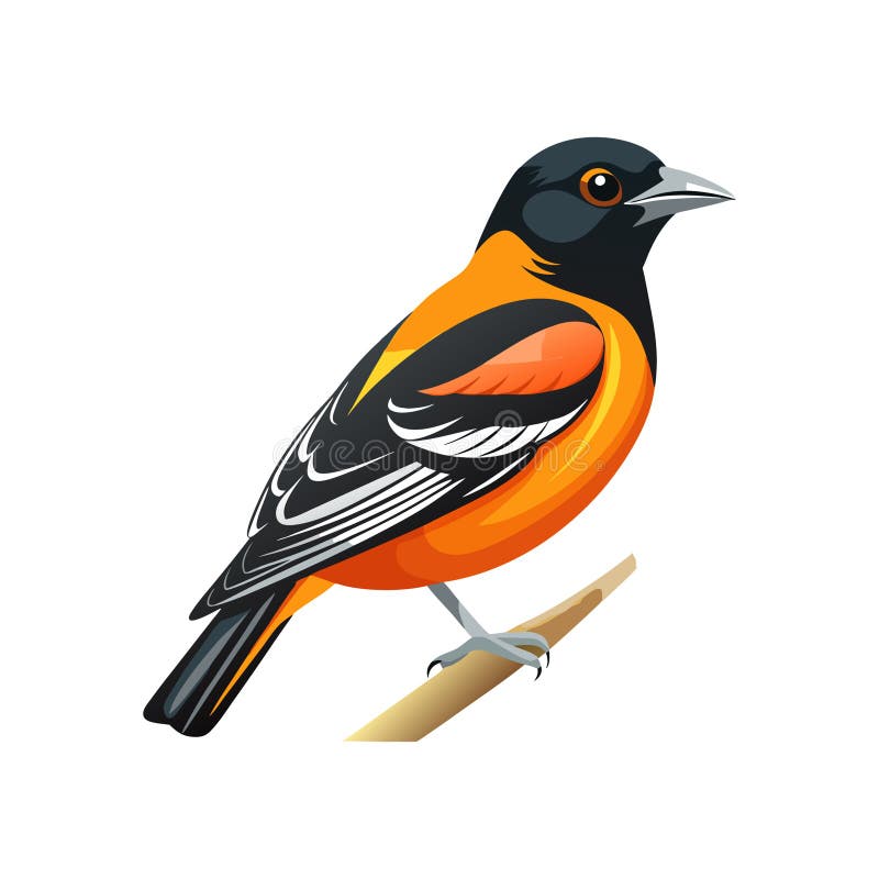 Vivid Baltimore Oriole Bird Design Stock Illustration - Illustration of ...