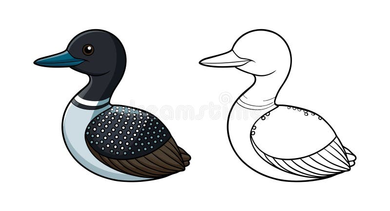 Vivid Common Loon Bird Design Stock Illustration - Illustration of ...