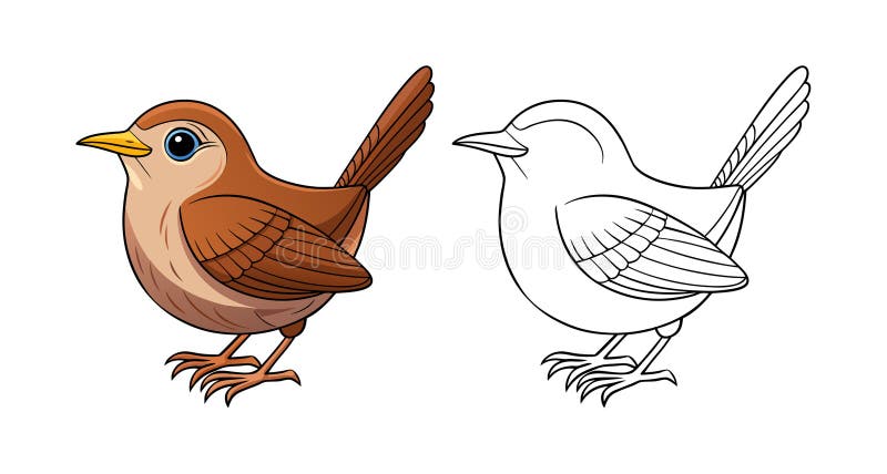 Vivid House Wren Bird Design Stock Illustration - Illustration of ...