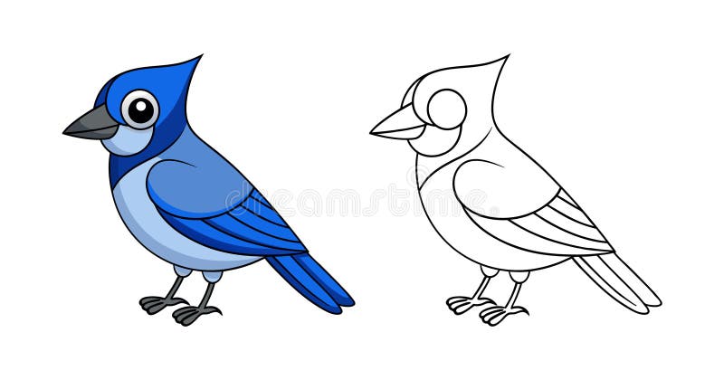 Vivid Blue Jay Bird Design stock illustration. Illustration of drawing ...