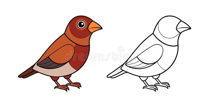 Vivid Chestnut Munia Bird Design Stock Illustration - Illustration of ...