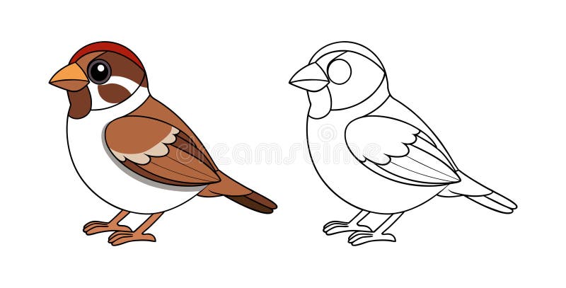 Vivid Eurasian Tree Sparrow Bird Design Stock Illustration ...