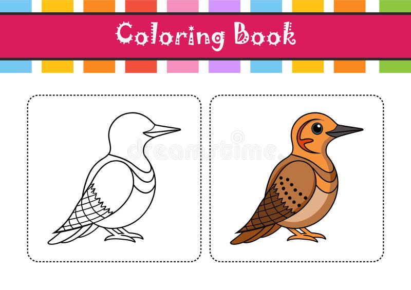 Vivid Northern Flicker Bird Design Stock Vector - Illustration of ...