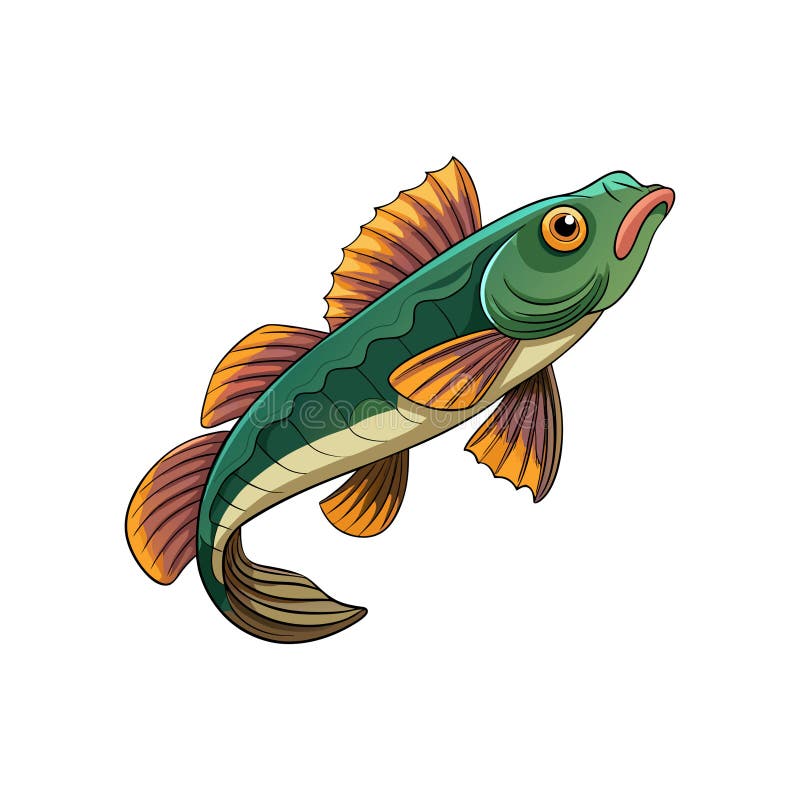 Vivid Dragon Goby Beautiful Art Piece Stock Photo - Illustration of ...