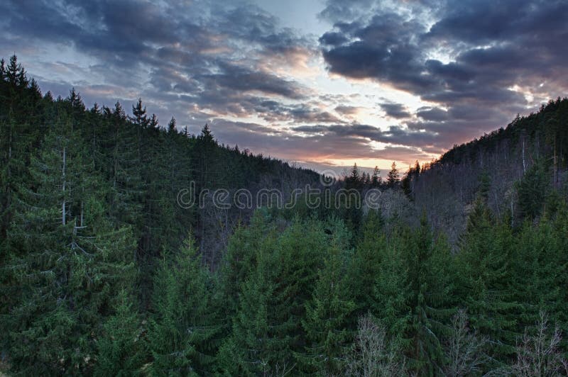 Sunset over the forest stock image. Image of color, landscape - 98449845