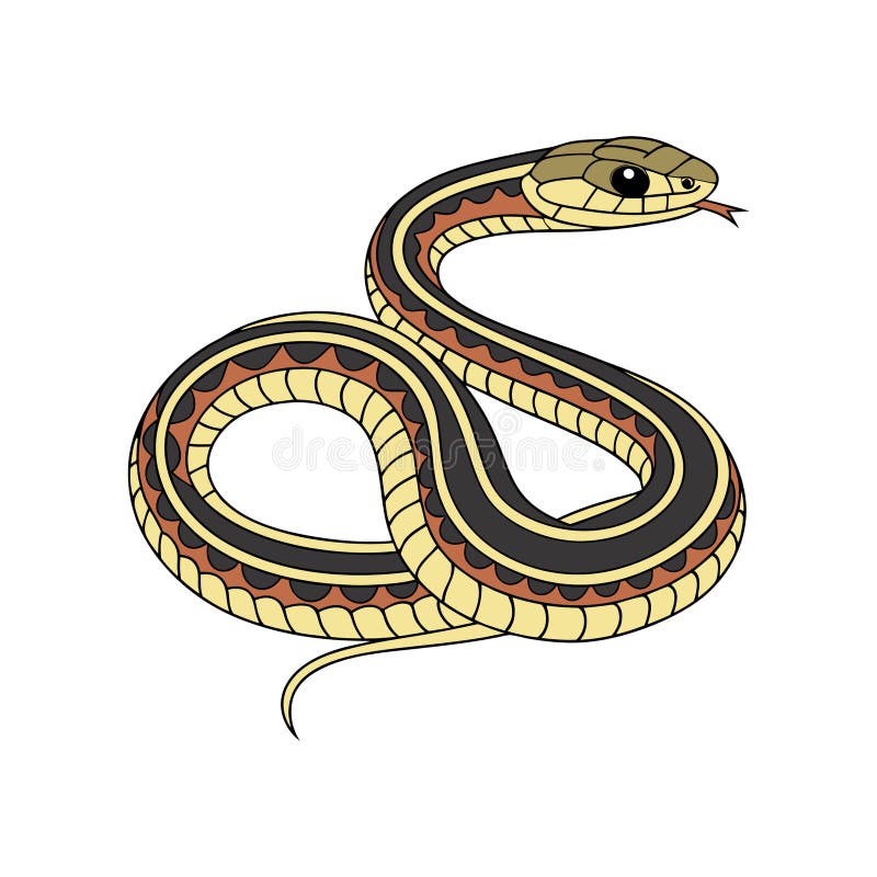 Snake Stock Illustrations – 190,208 Snake Stock Illustrations, Vectors ...