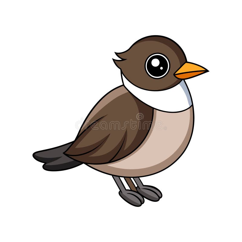 Vivid Eastern Phoebe Bird Design Stock Illustration - Illustration of ...