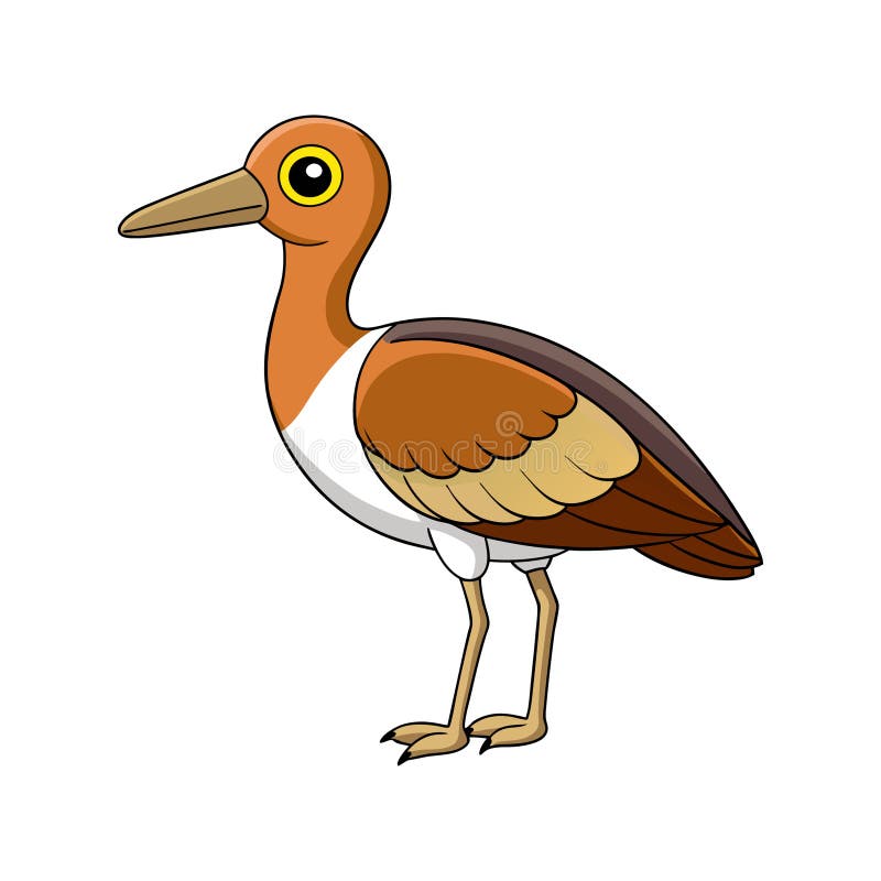Vivid Eurasian Curlew Bird Design Stock Illustration - Illustration of ...
