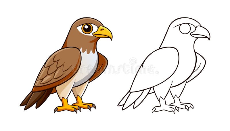 Vivid Ferruginous Hawk Bird Design Stock Illustrations – 6 Vivid ...