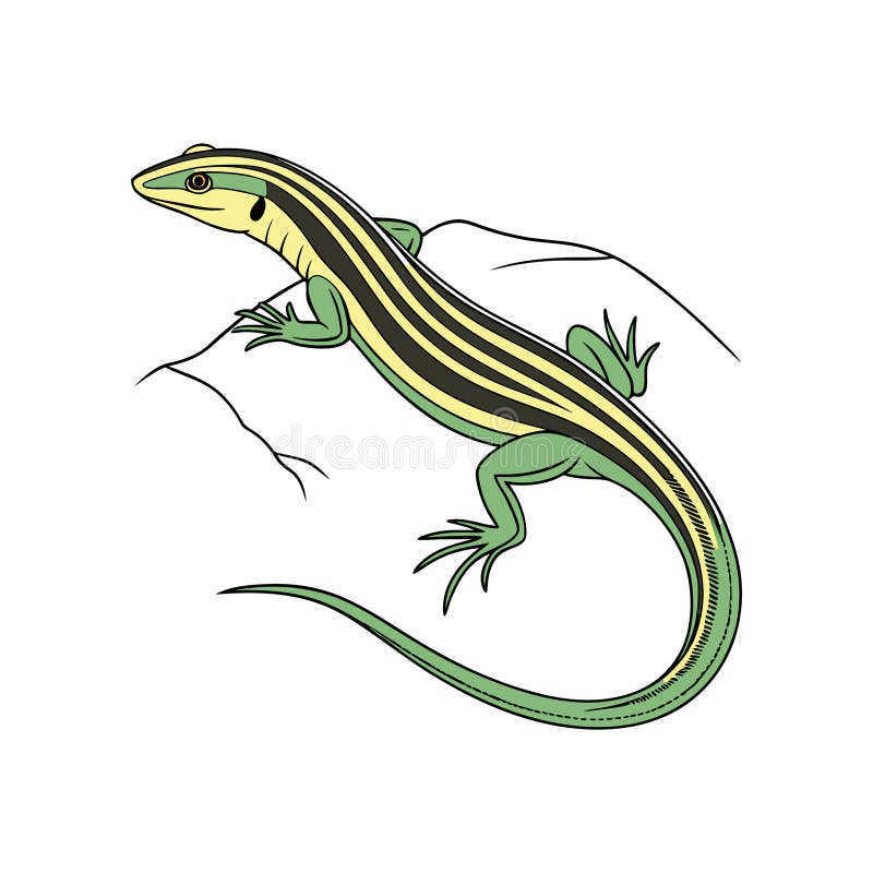Vivid Five-Lined Skink Wildlife Representation Stock Illustration ...