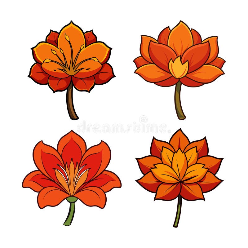 Vivid Flame Tree Flower Artwork in Bright Colors Stock Vector ...
