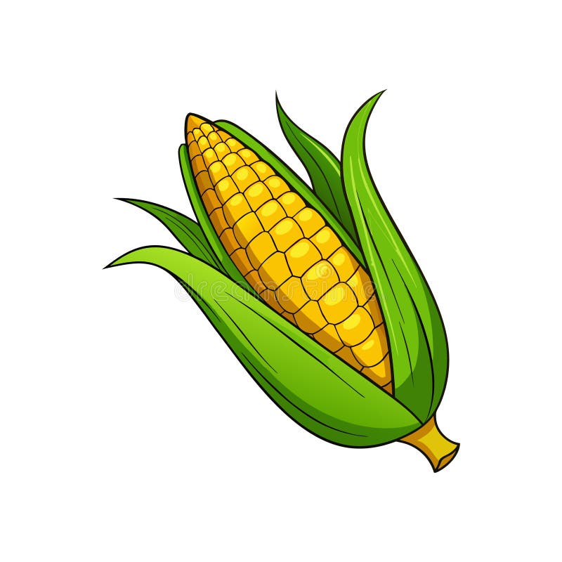 Vivid Flint Corn Vegetable Color Illustration Stock Photo ...