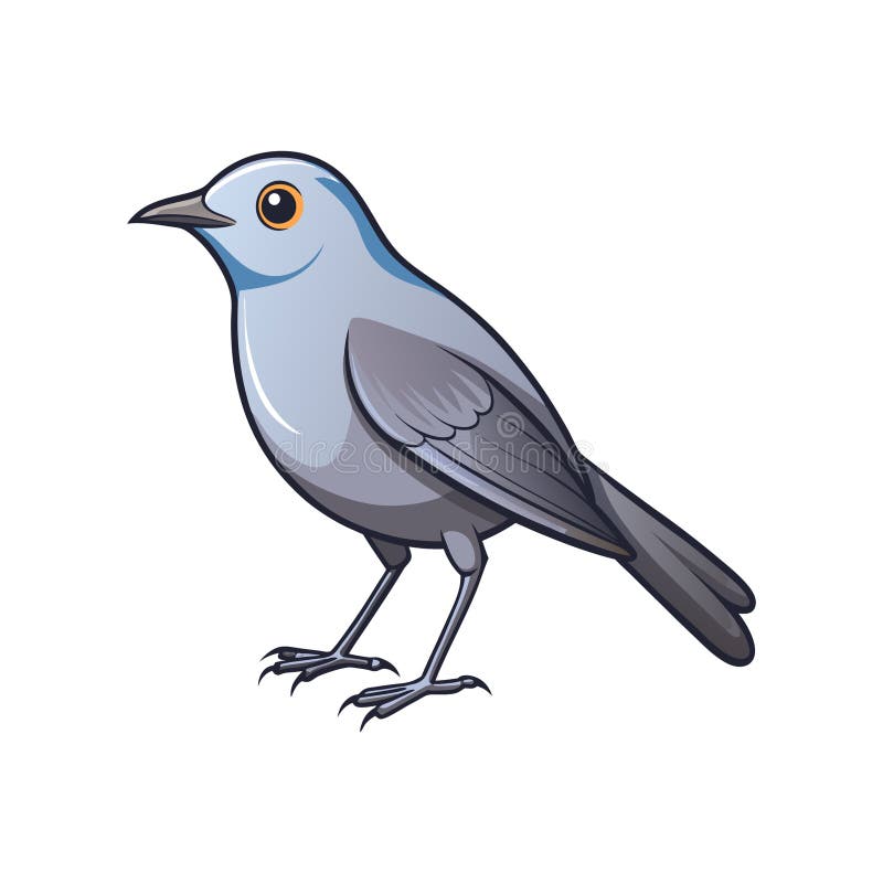 Vivid Gray Catbird Bird Vector Stock Image - Illustration of feather, wildlife: 366109569