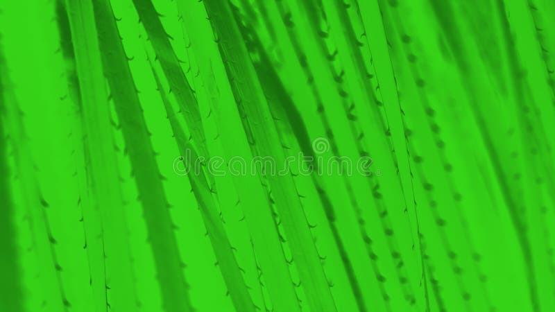 Bright Glowing Green Abstract Background with Cactus Thorns Pattern ...
