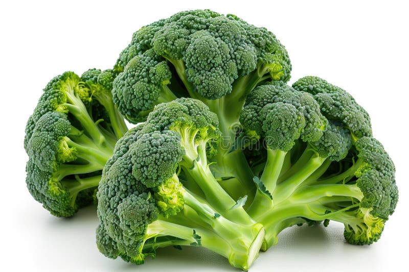 1 Vivid Green Broccoli in Pure White Background Stock Photo - Image of ...