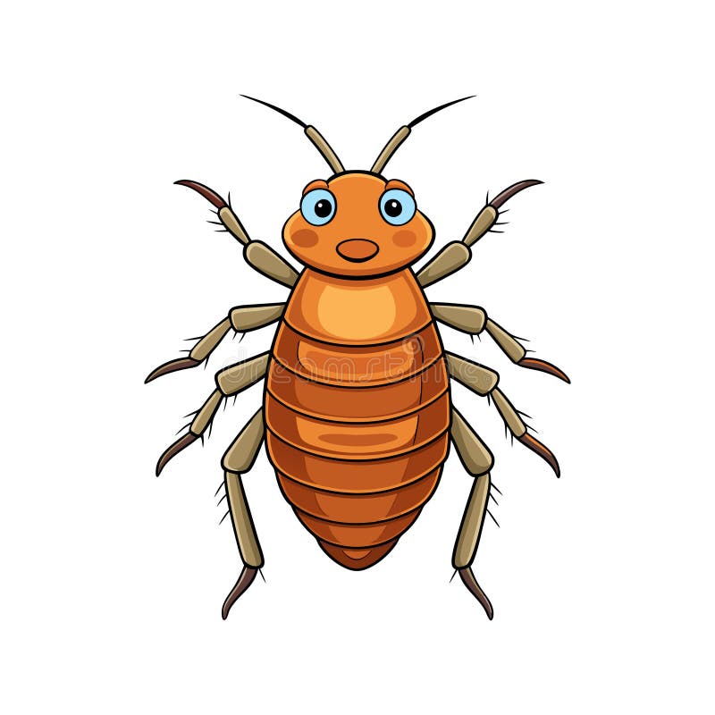 Vivid Head Louse Animal Detailed Artwork Stock Illustration ...