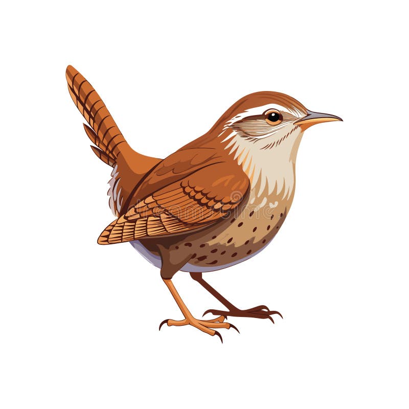 Vivid House Wren Bird Design Stock Image - Illustration of wren, bird ...
