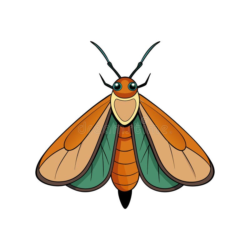 Vivid Indian Meal Moth Detailed Artwork Stock Illustration ...