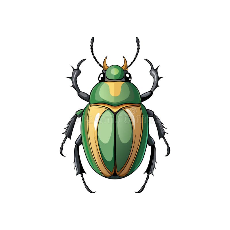 Vivid Japanese Beetle Detailed Artwork Stock Illustration ...