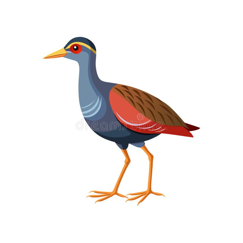 Vivid King Rail Bird Design Stock Illustration - Illustration of ...