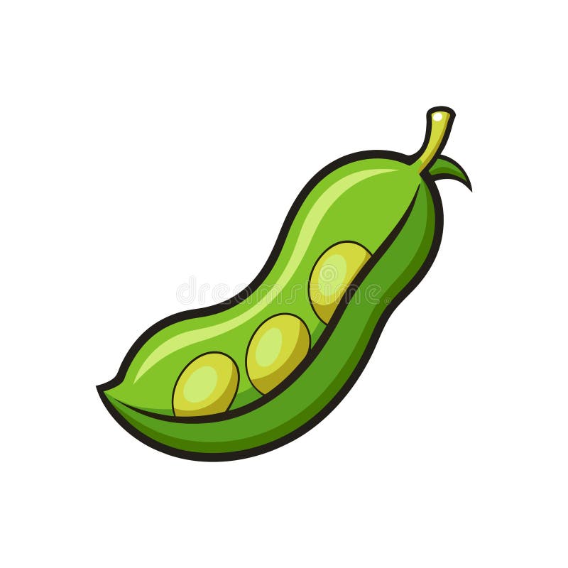 Vivid Lima Bean Vegetable Color Illustration Stock Illustration ...