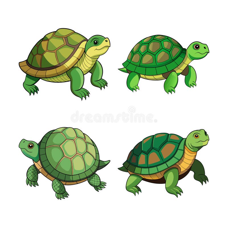 Vivid Map Turtle Stock Illustrations – 11 Vivid Map Turtle Stock ...
