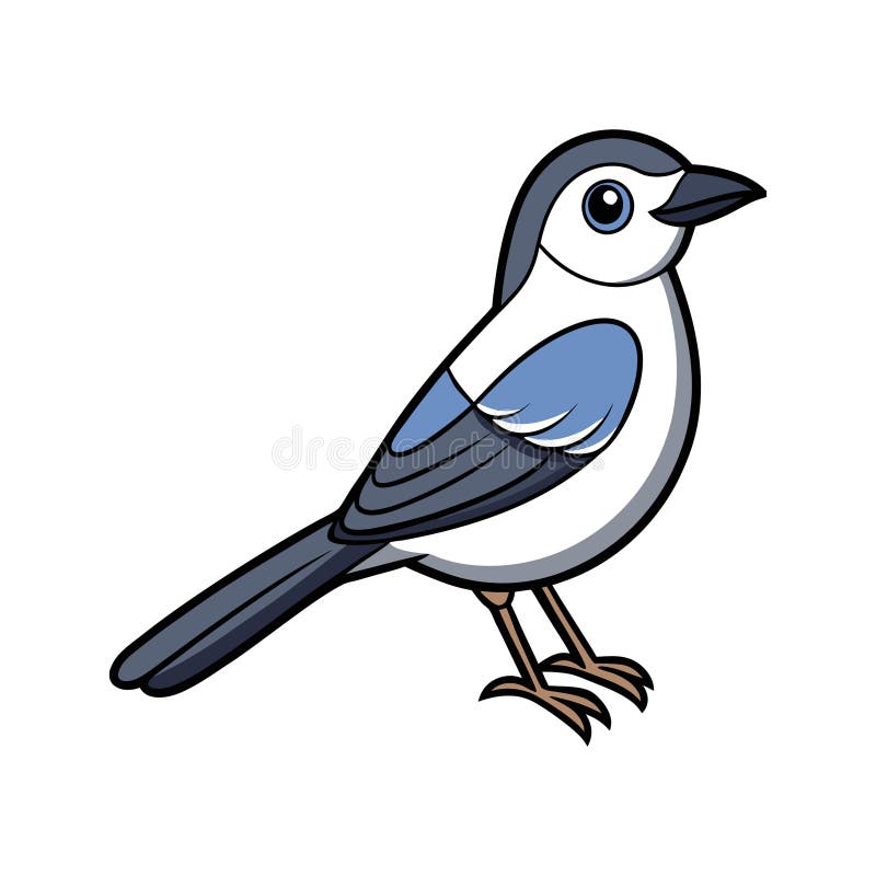 Vivid Northern Mockingbird Bird Design Stock Illustration ...