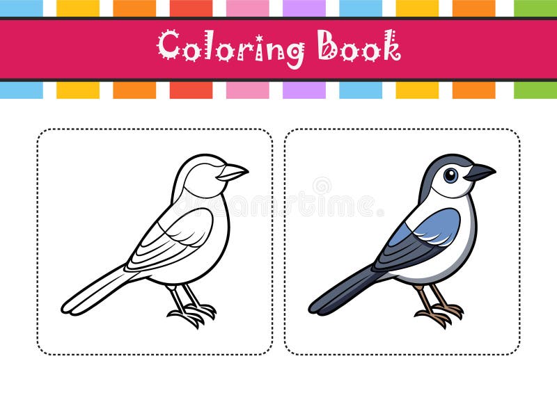 Vivid Northern Mockingbird Bird Design Stock Vector - Illustration of ...