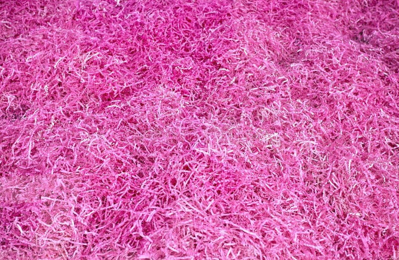 Vivid Pink Packaging Material Stock Image - Image of paper, recycle ...