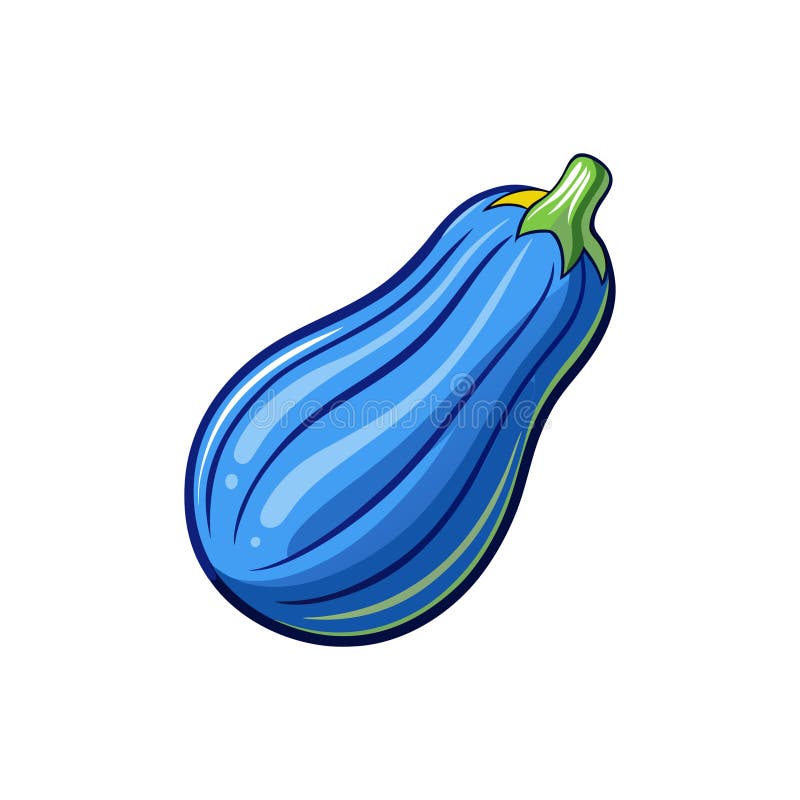 Vivid Queensland Blue Squash Vegetable Color Illustration Stock ...