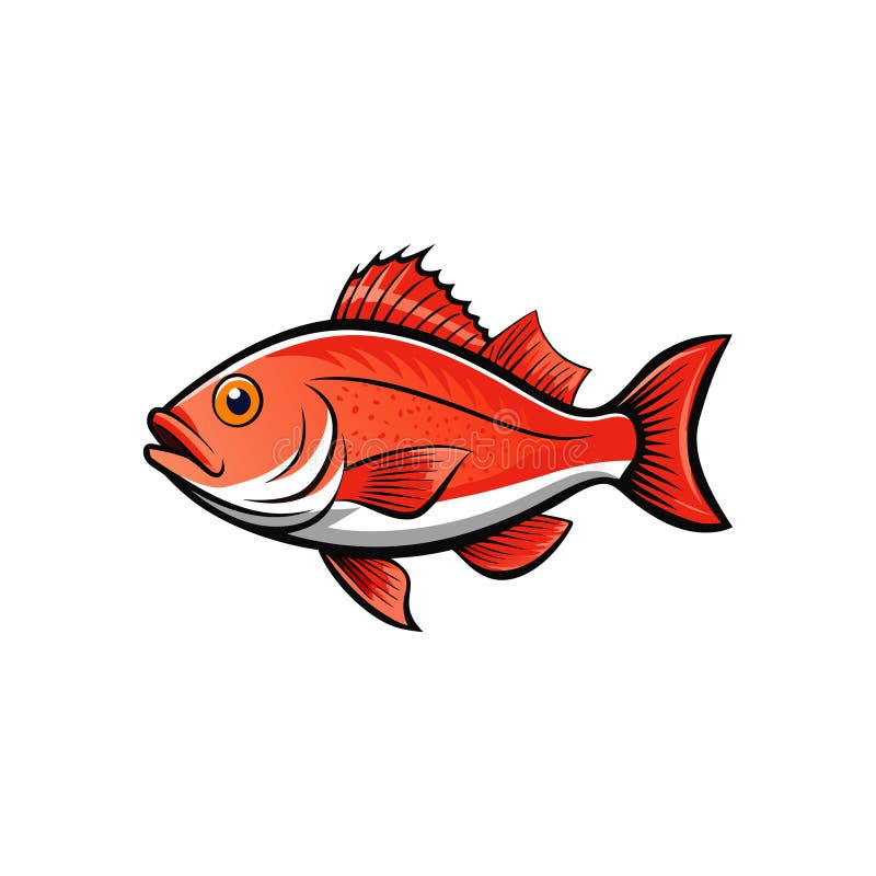 Vivid Red Drum Fish Artwork Featuring Realistic Colors Stock ...