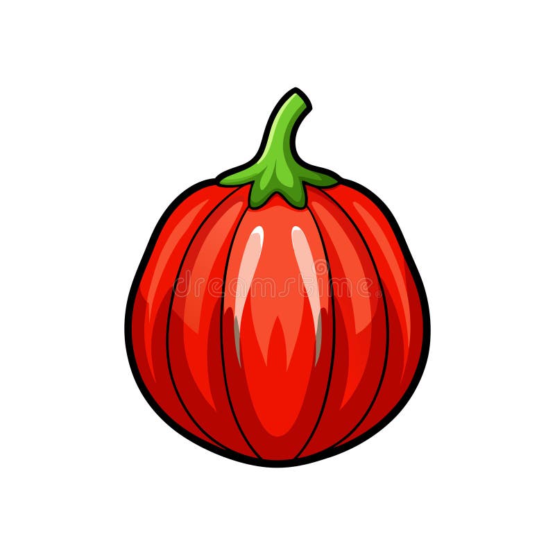 Vivid Red Kuri Squash Vegetable Color Illustration Stock Illustration ...