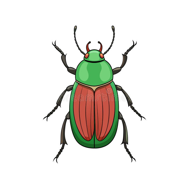 Vivid Rose Chafer Detailed Artwork Stock Illustration - Illustration of ...
